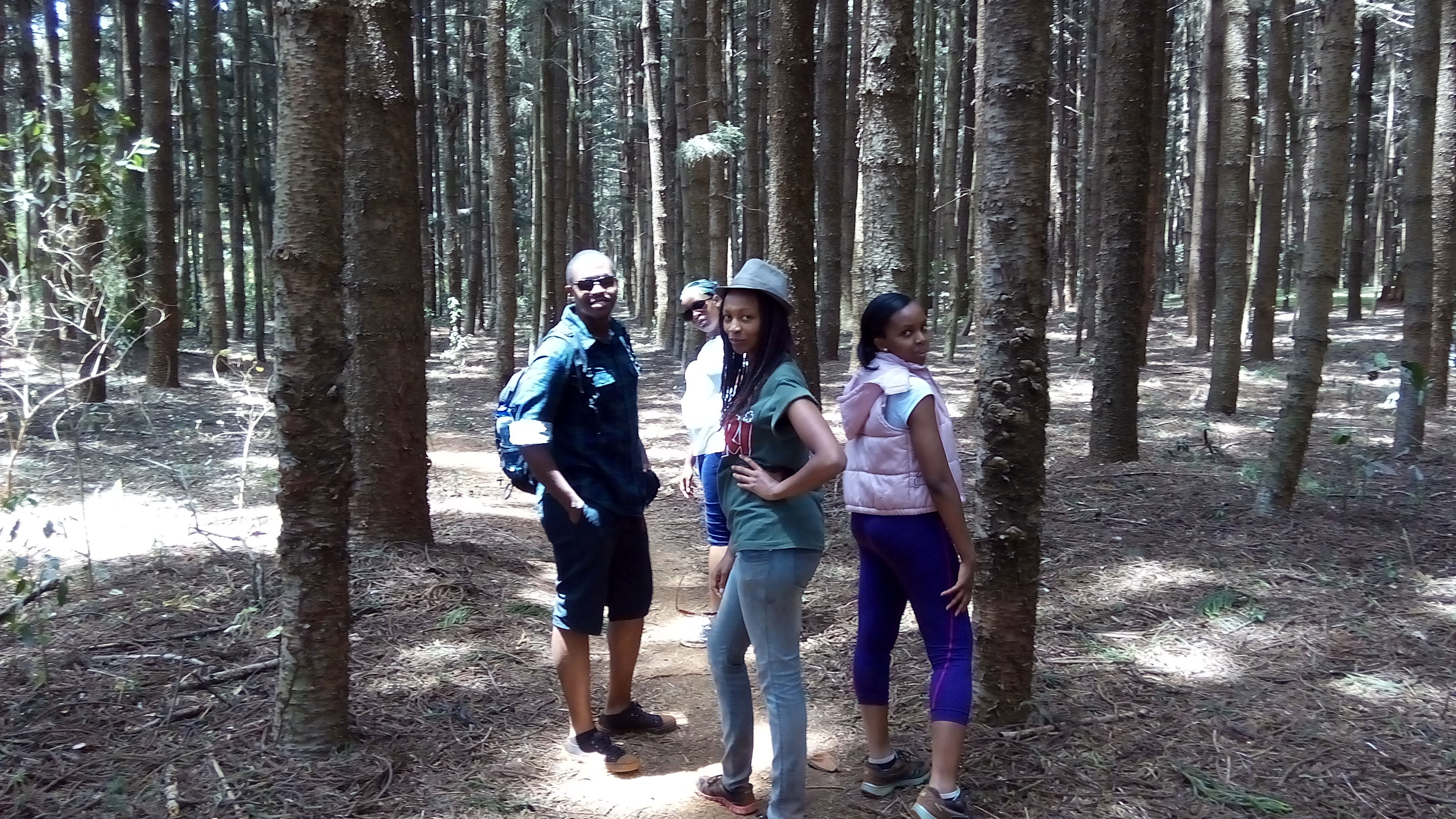 Hike 006: Karura Forest – Hiking Adventures