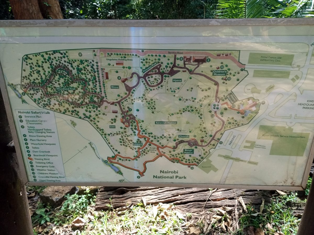 Hike 021: Nairobi Safari Walk – Hiking Adventures