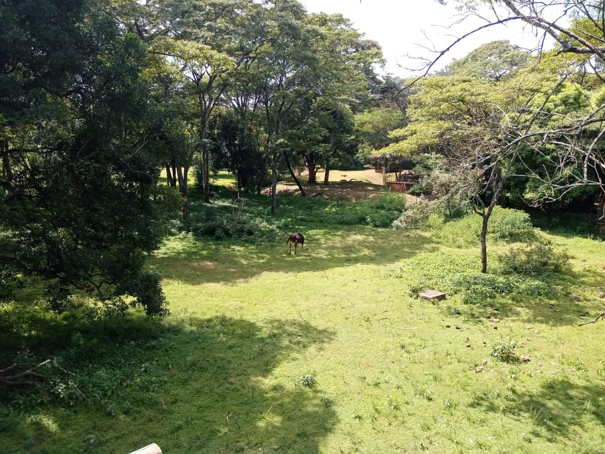 Hike 021: Nairobi Safari Walk – Hiking Adventures