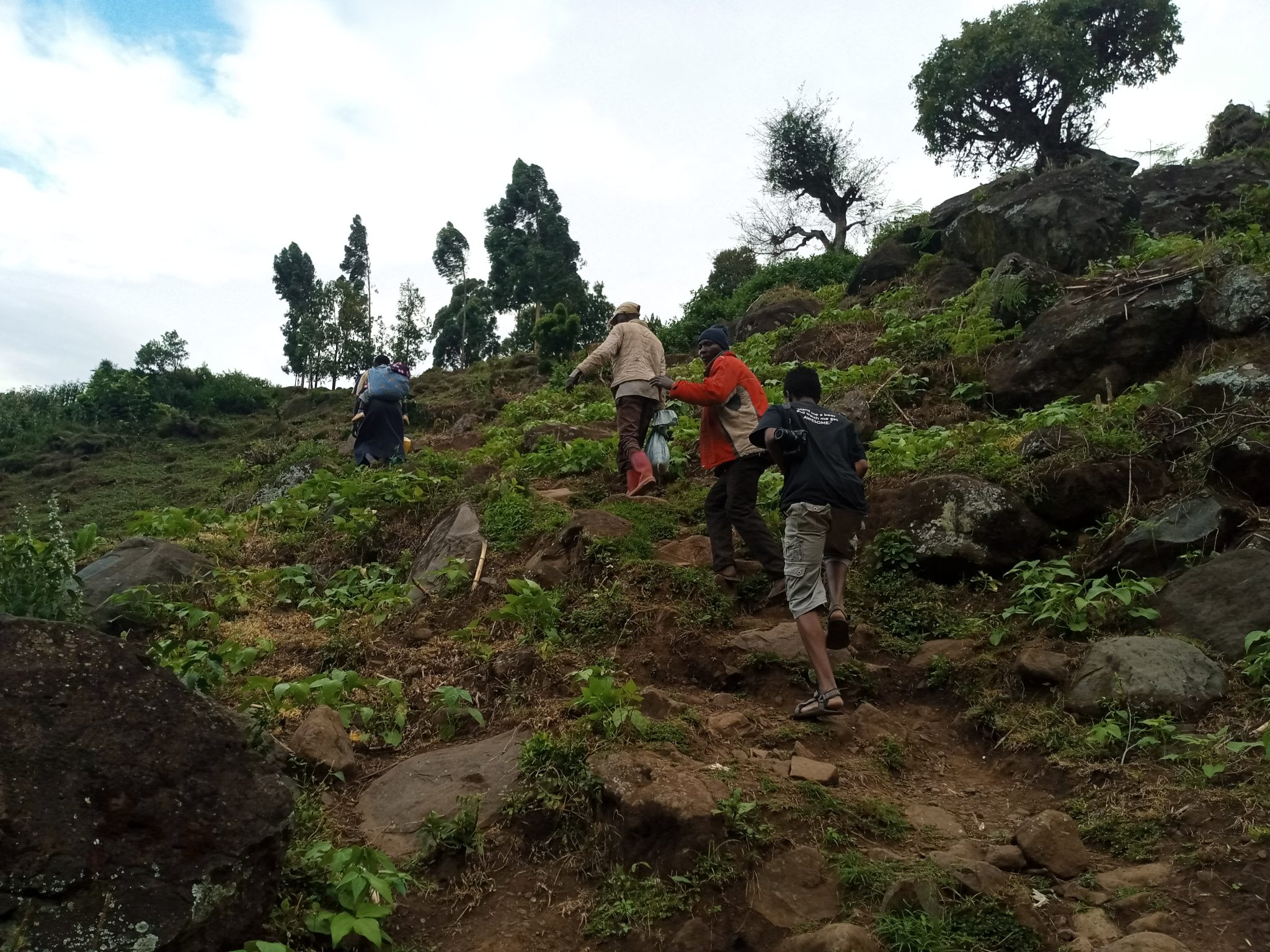 Hike 048: Torok Falls – Hiking Adventures