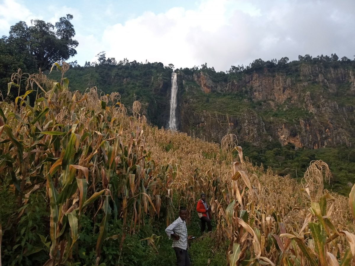 Hike 048: Torok Falls – Hiking Adventures