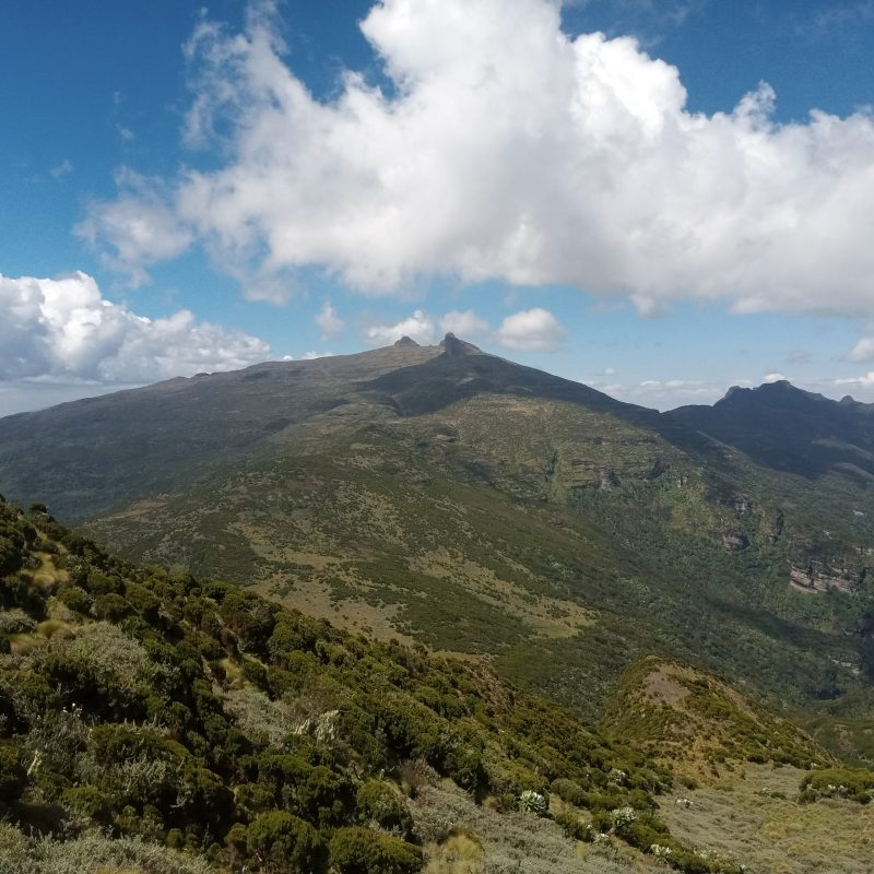 Hike 024: Resurrection Garden – Hiking Adventures