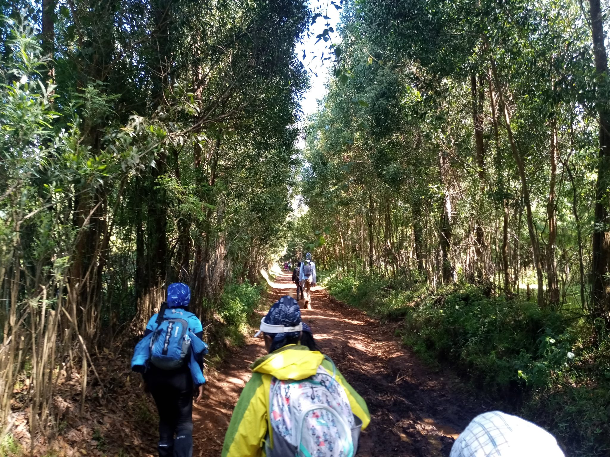 Hike 057: Mount Kinangop – Hiking Adventures