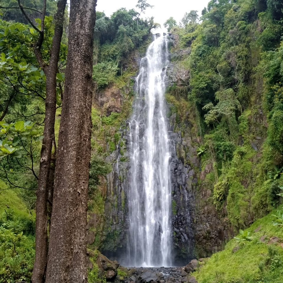 Hike 048: Torok Falls – Hiking Adventures