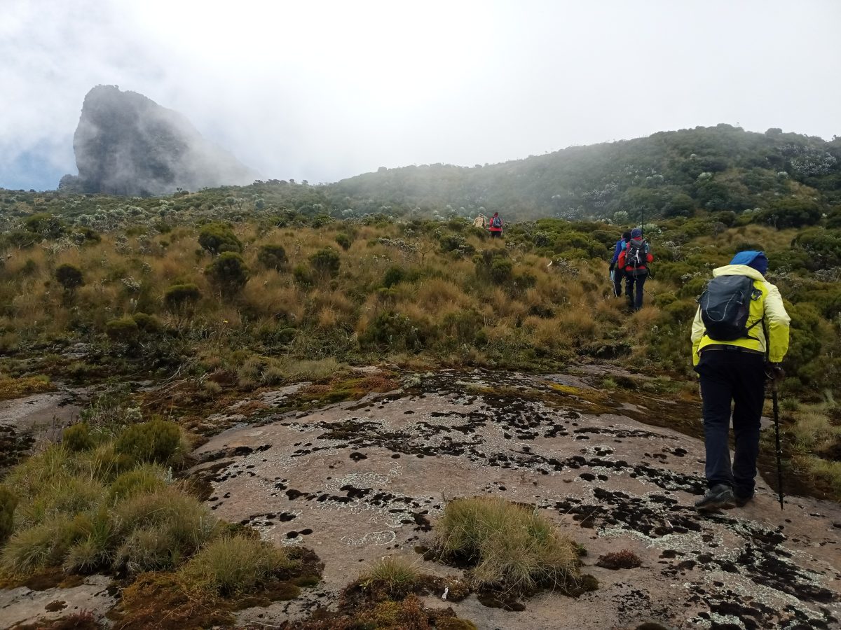 Hike 095: Mount Kinangop – Hiking Adventures