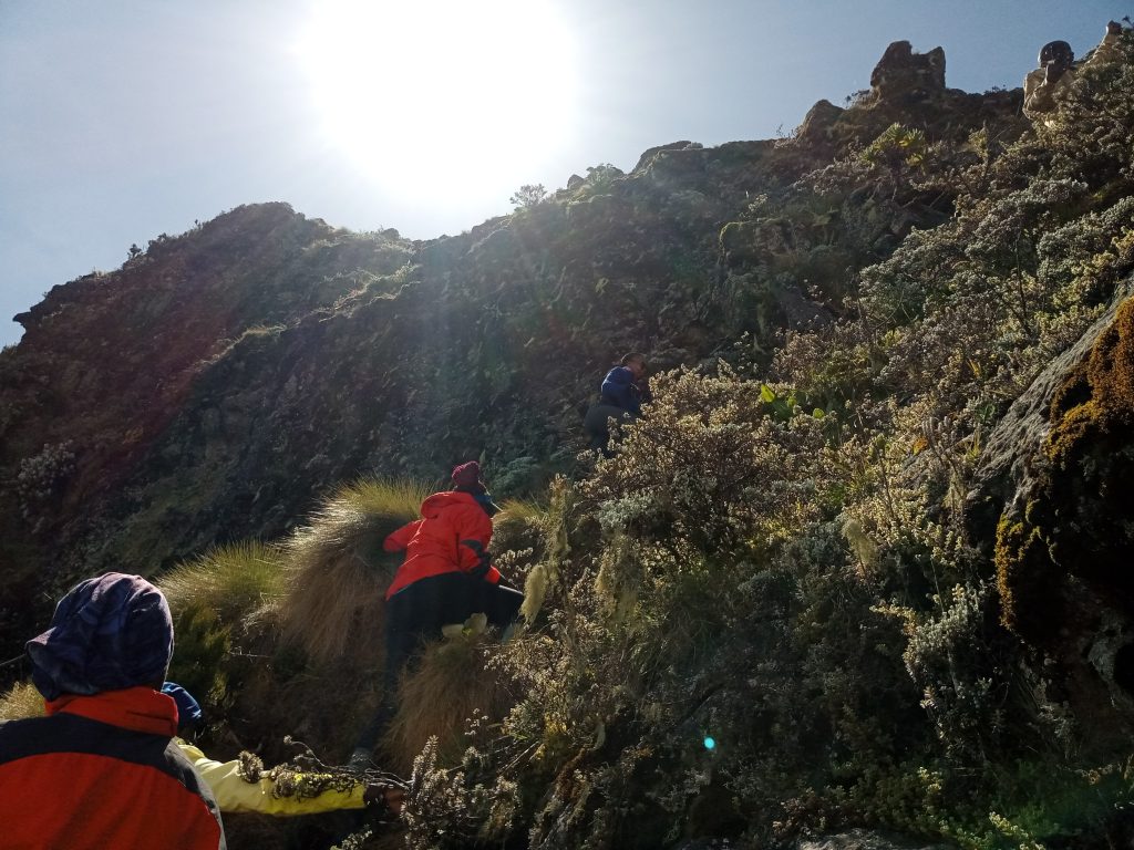 Hike 095: Mount Kinangop – Hiking Adventures