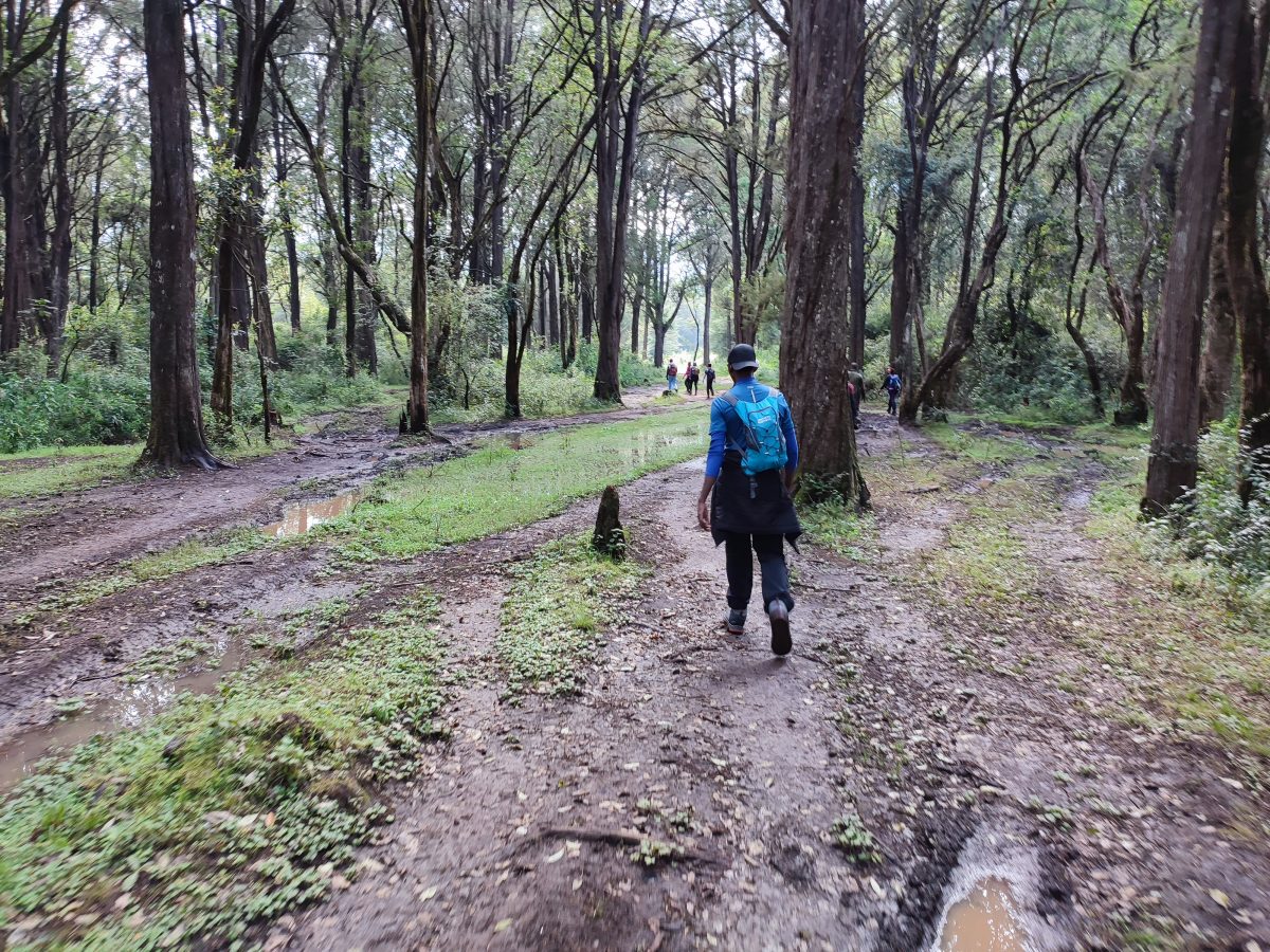 Hike 110: Mount Kinangop – Hiking Adventures