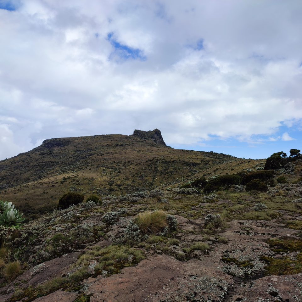 Hike 005: Mount Kilimambogo – Hiking Adventures