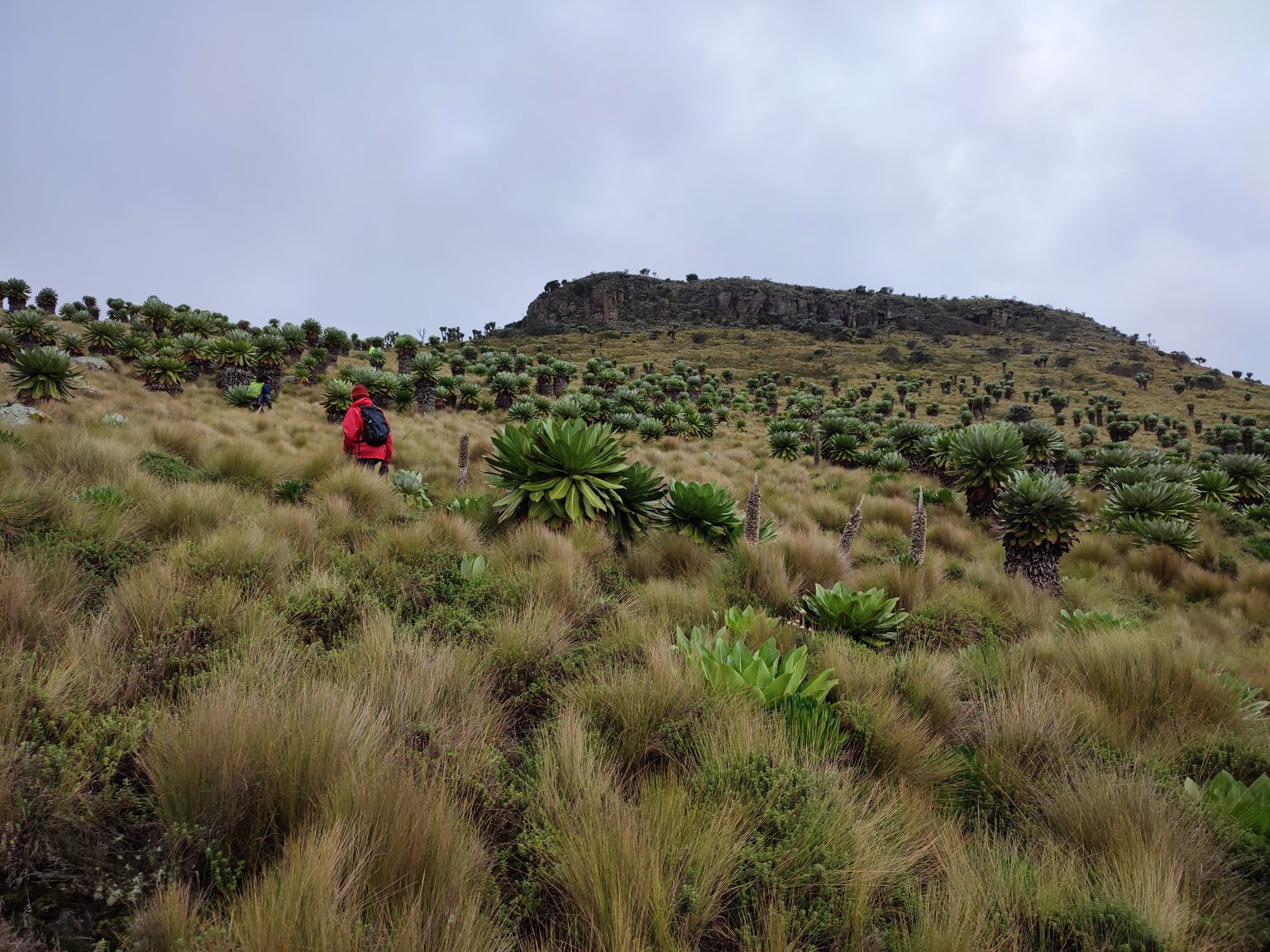 Hike 108: Mount Satima – Table Mountain Traverse – Hiking Adventures