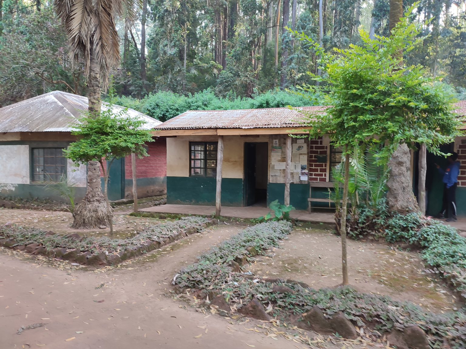 Hike 167: Mbooni Forest – Hiking Adventures