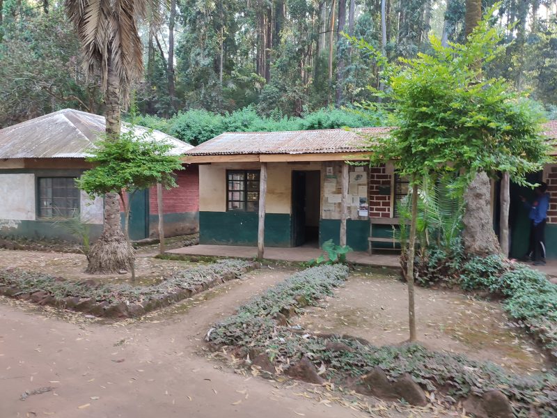 Hike 167: Mbooni Forest – Hiking Adventures