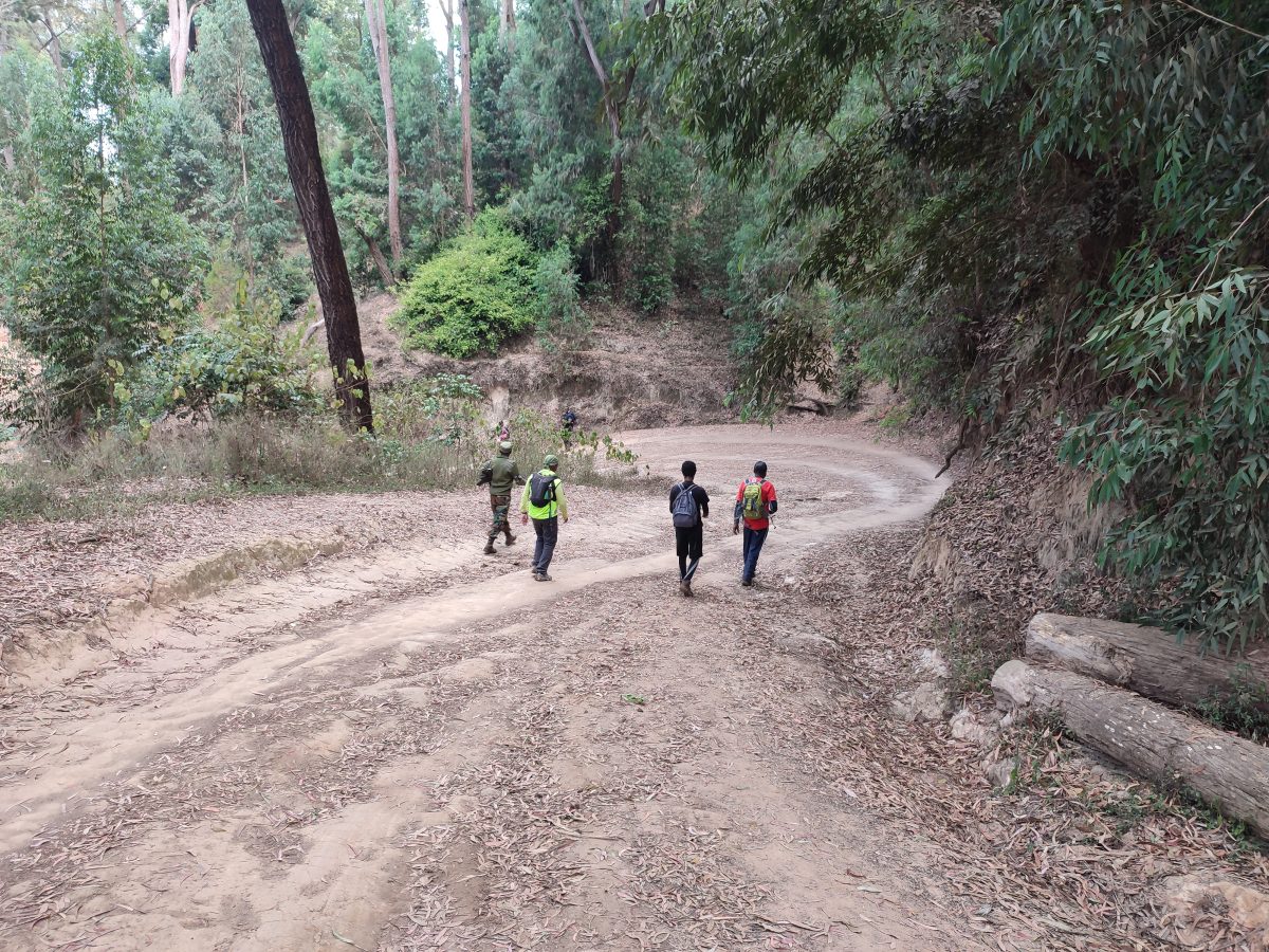 Hike 167: Mbooni Forest – Hiking Adventures