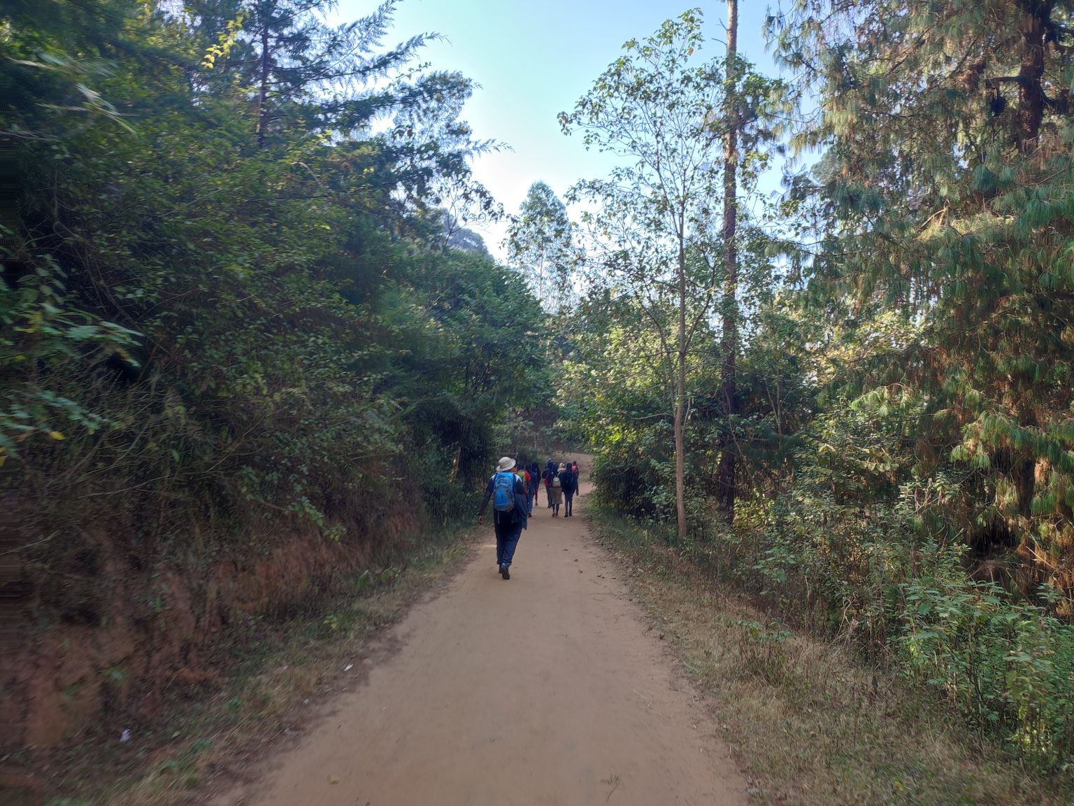 Hike 167: Mbooni Forest – Hiking Adventures