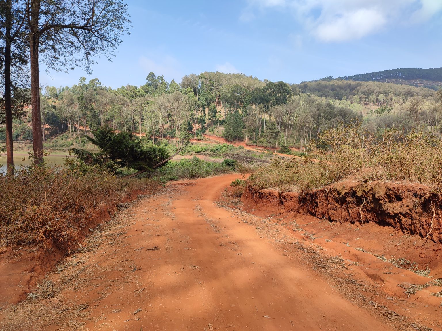 Hike 167: Mbooni Forest – Hiking Adventures