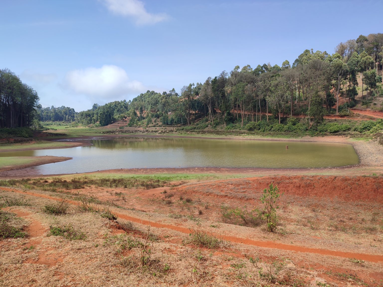 Hike 167: Mbooni Forest – Hiking Adventures